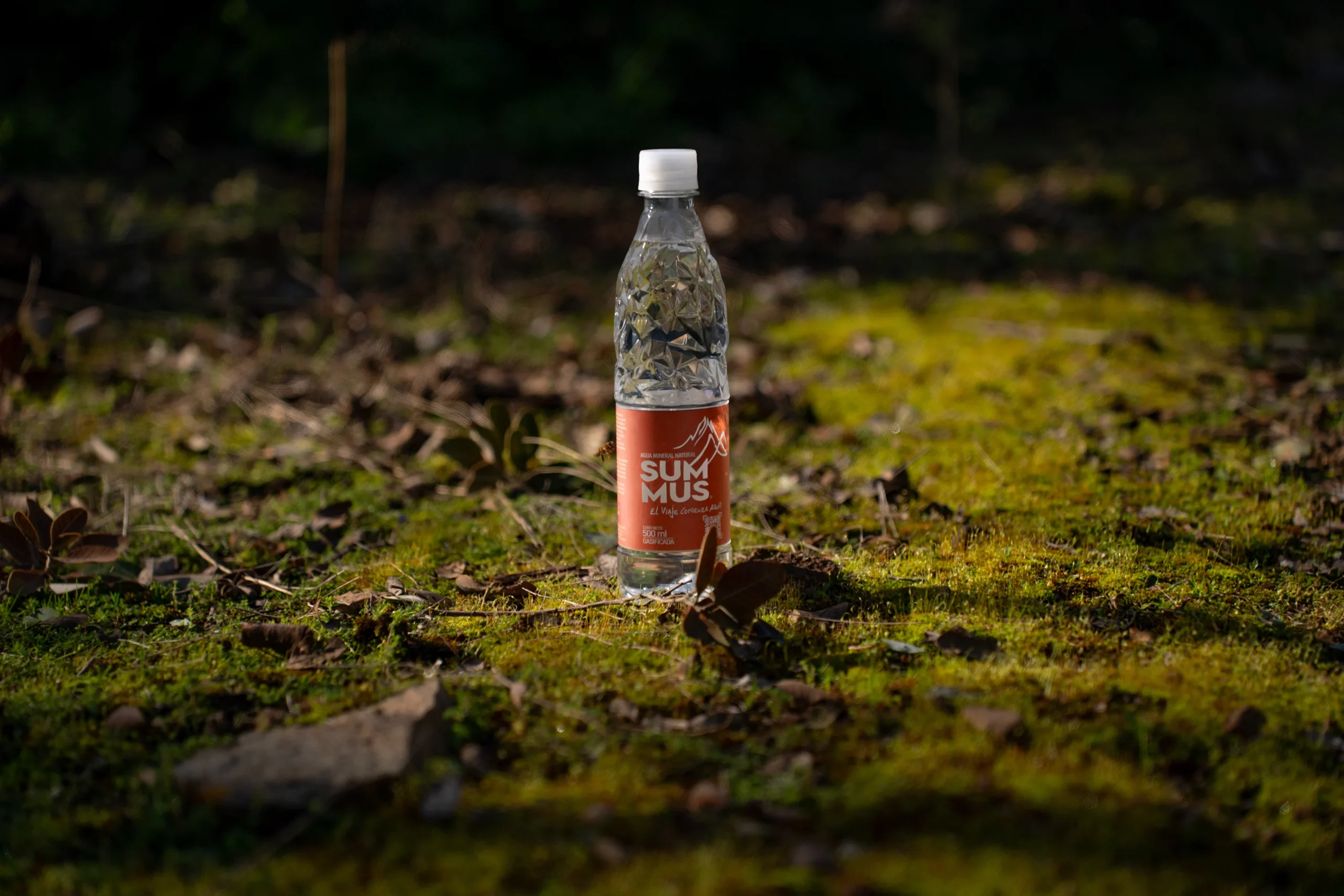 ¿Por qué es beneficioso tomar agua? - Summus